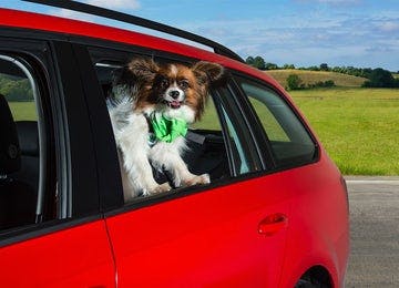 Best MPV cars and People Carriers Deals 2022 | carwow